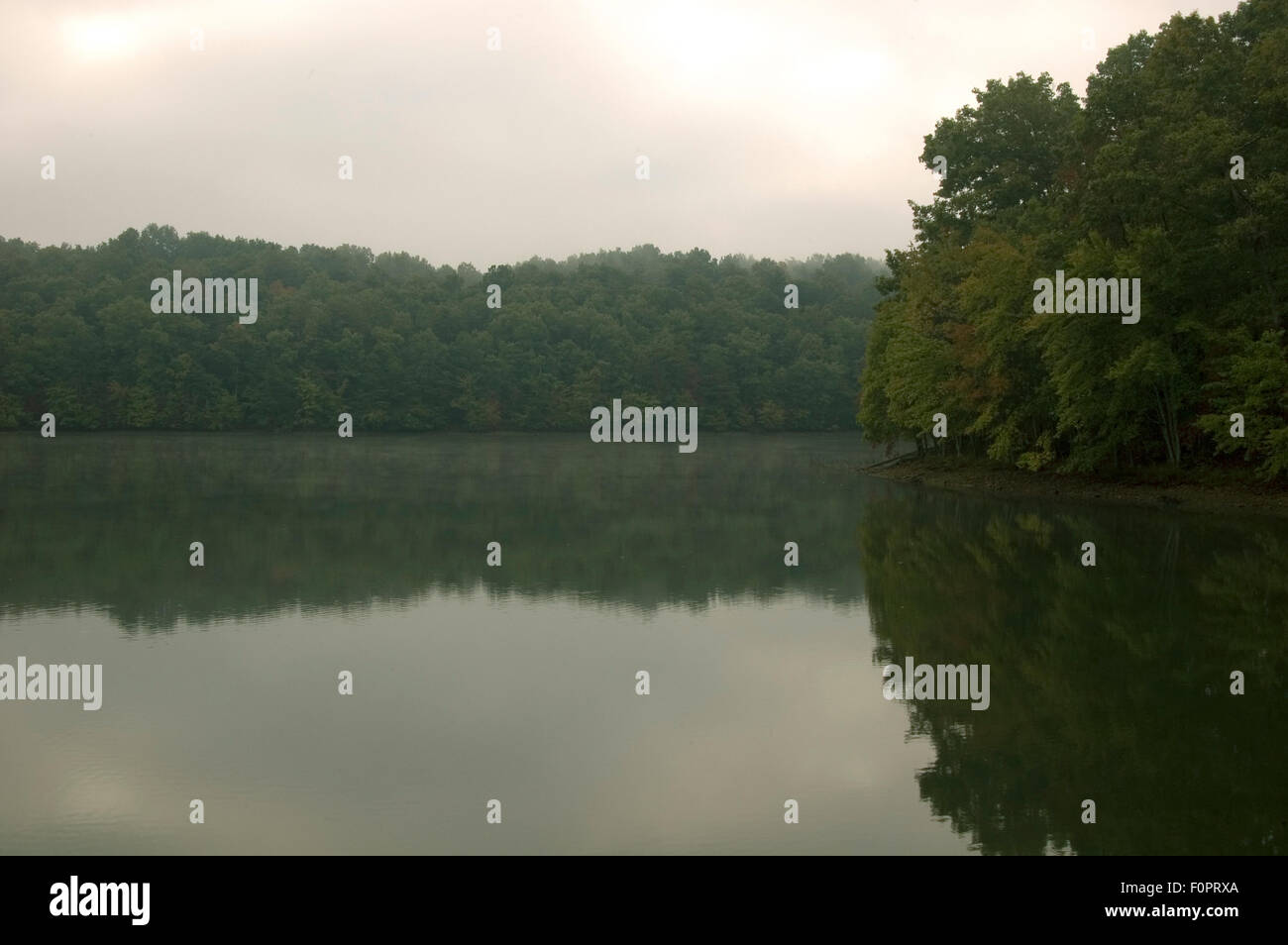 Early morning looking over the lake Stock Photo - Alamy