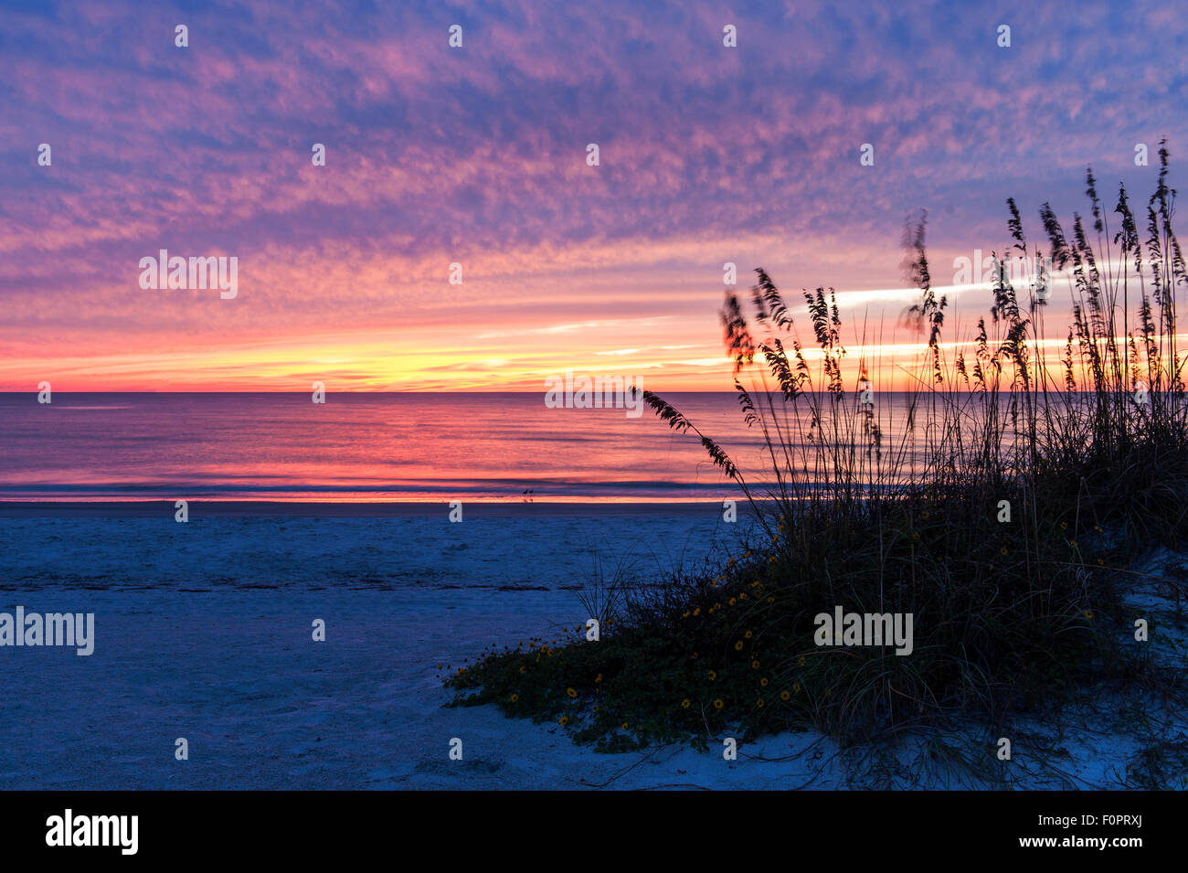 Sunset over the Gulf Of Mexico, Indian Rocks Beach, Florida Stock Photo ...