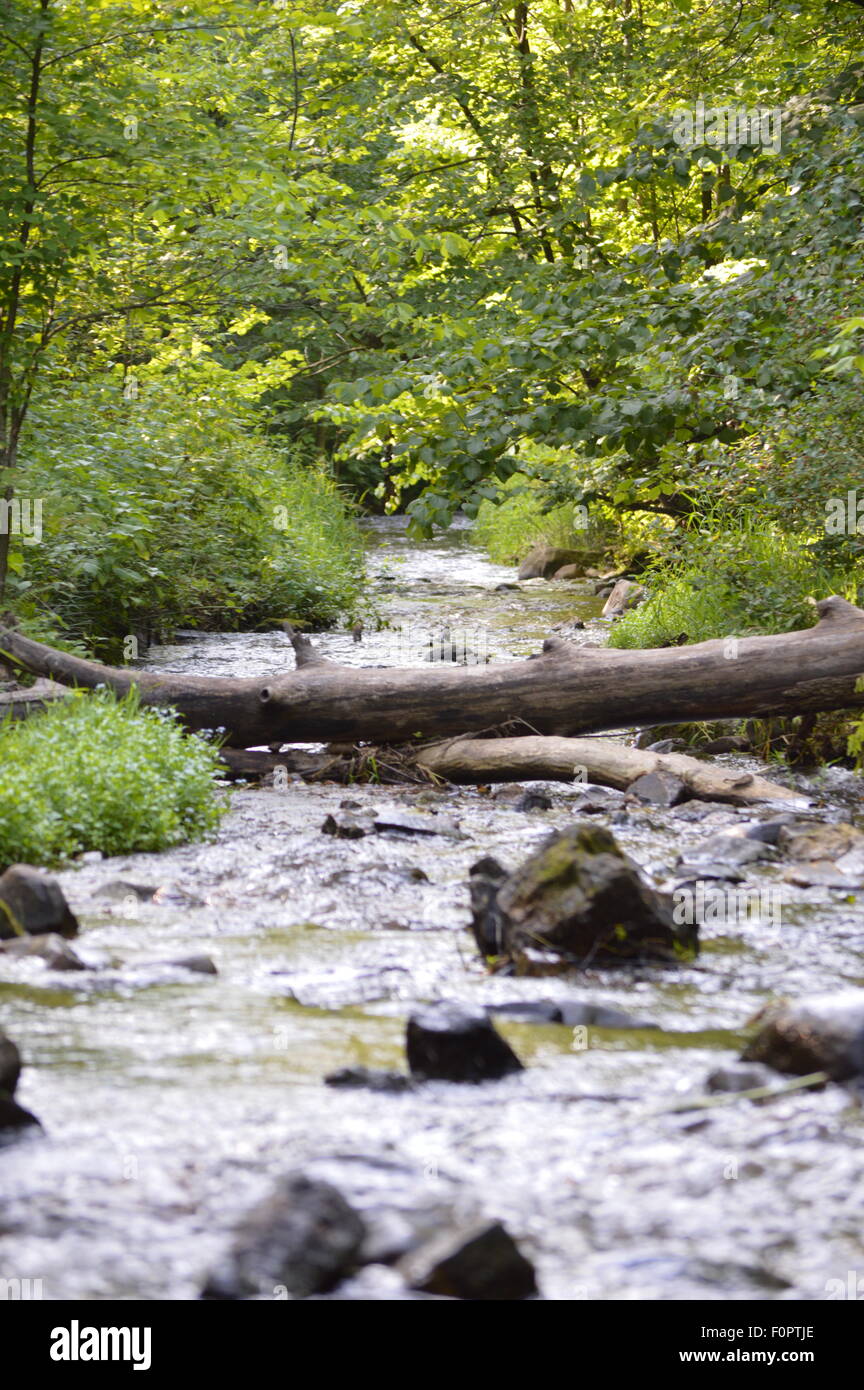Log fallen over stream Stock Photo - Alamy