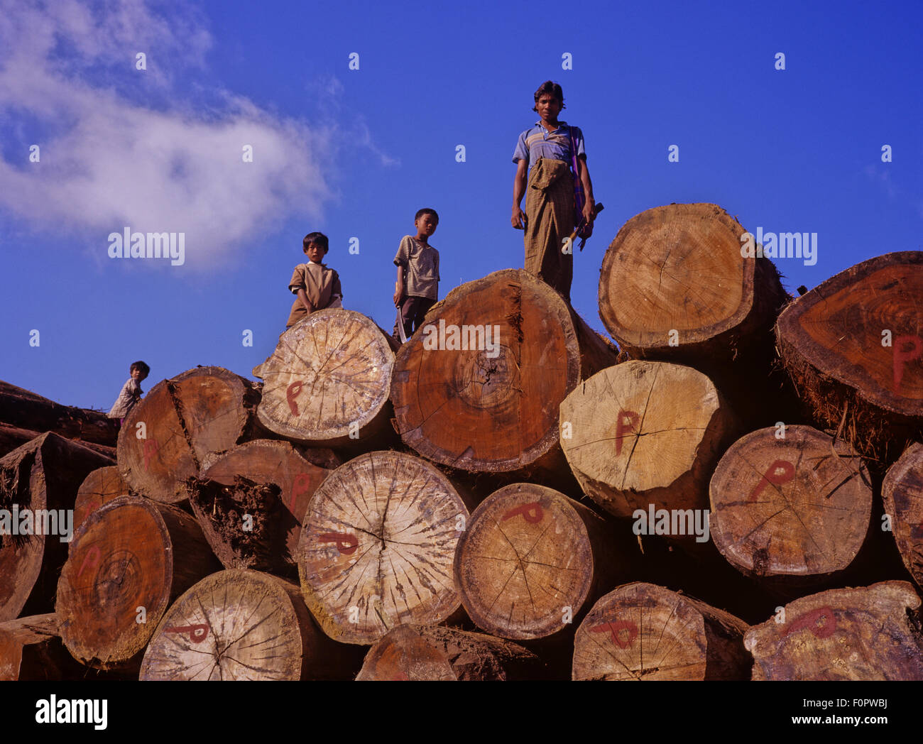 Lumber storage place Stock Photo - Alamy