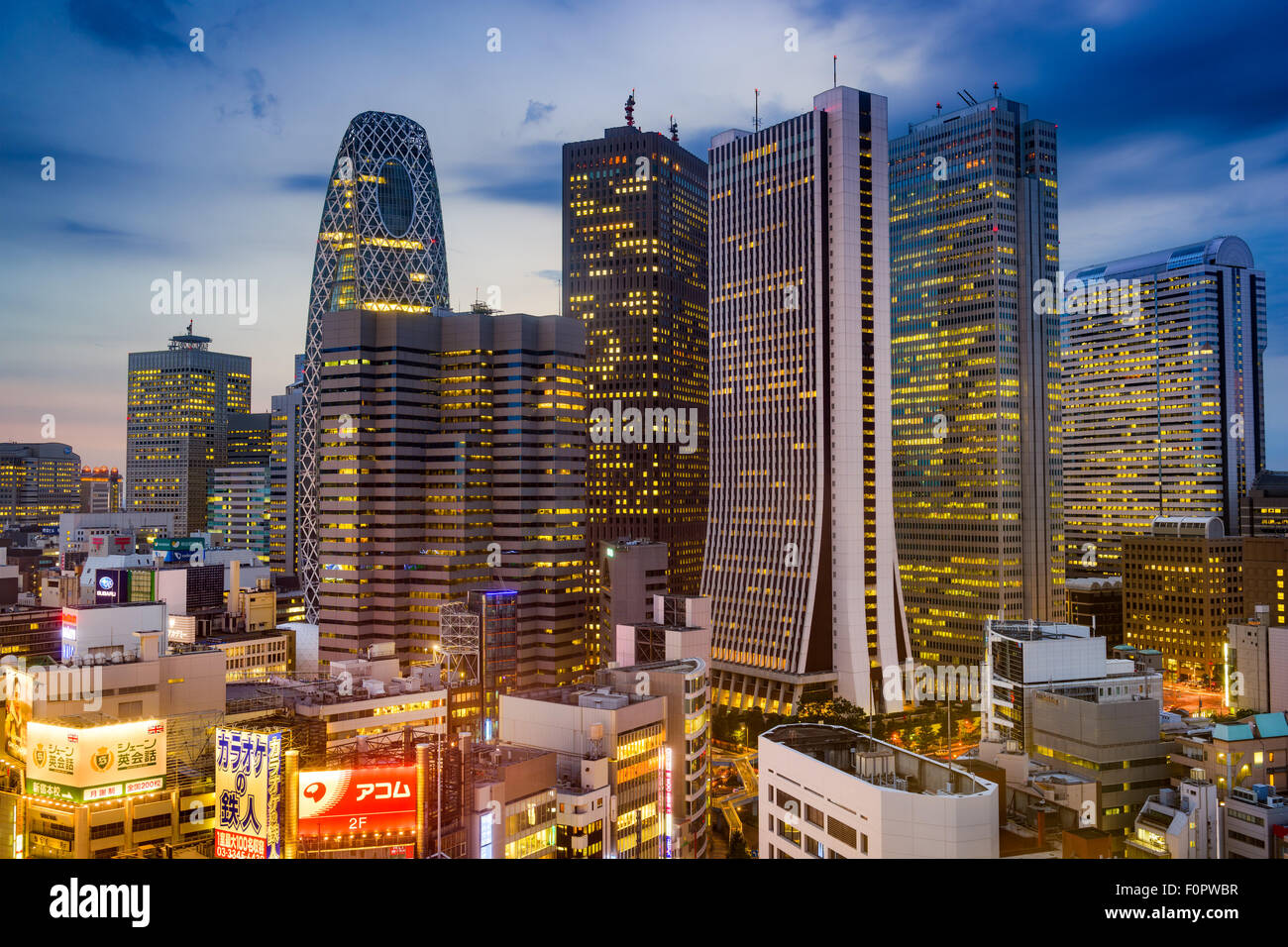 Shinjuku Skyscraper