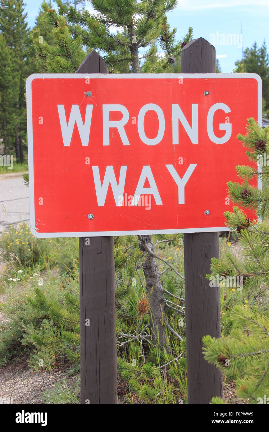 Red and white road sign stating "WRONG WAY" symbolising the concept of ...