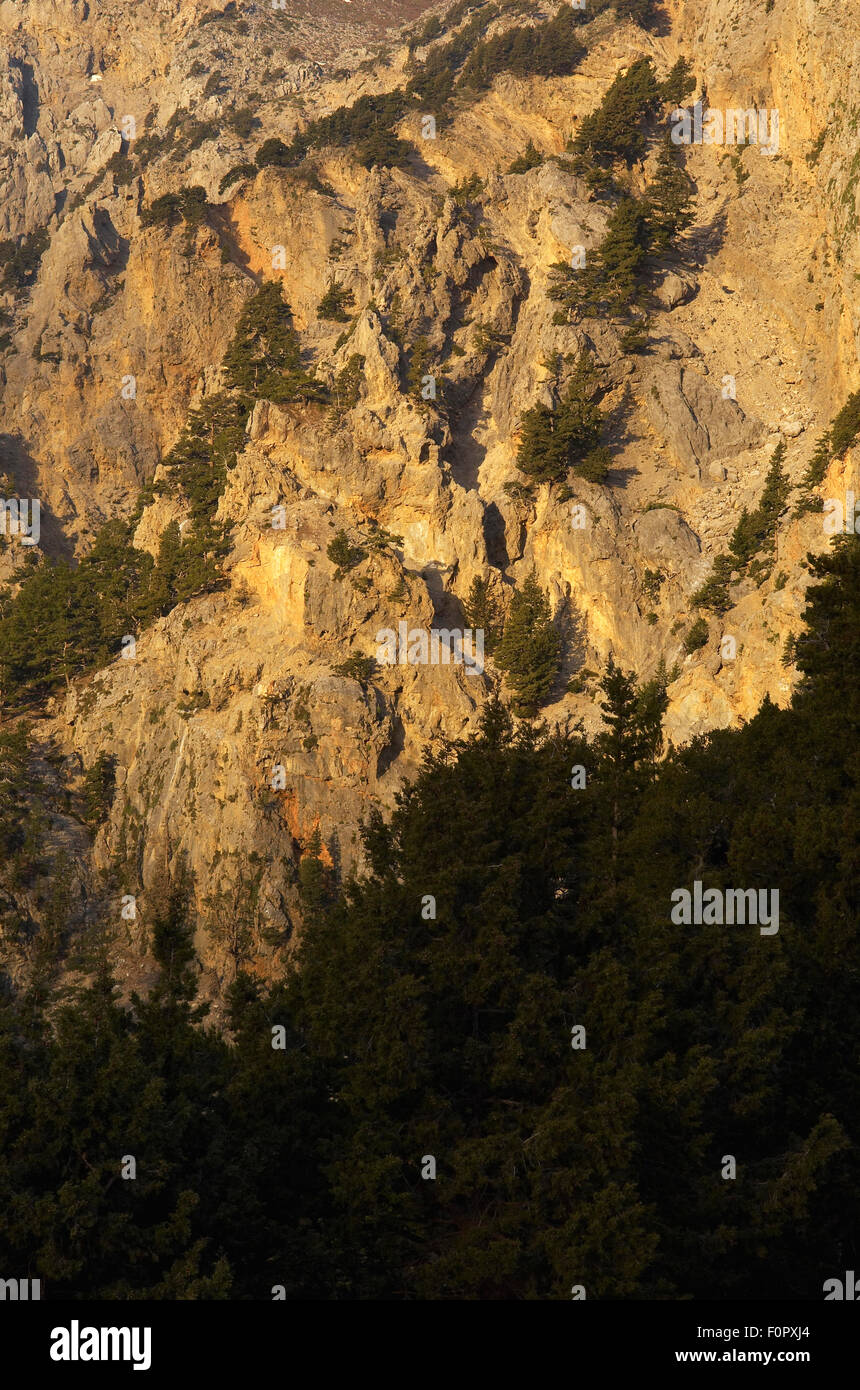 Rock face in the Samaria Gorge, White Mountains, Crete, Greece, April ...
