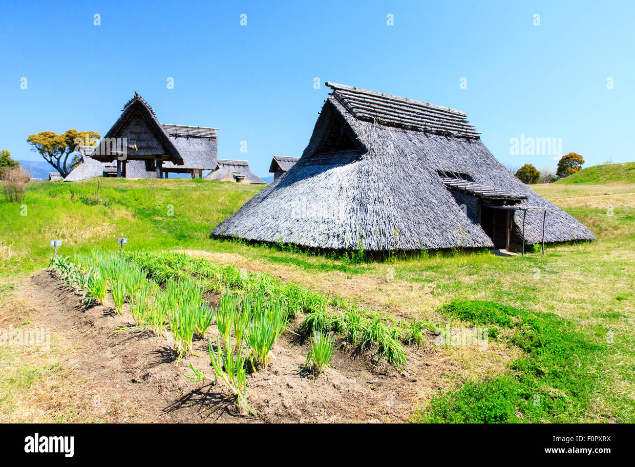Yayoi of hi-res stock photography and images - Alamy