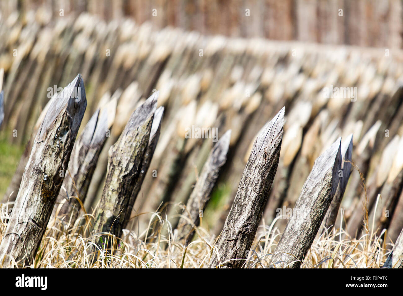 Japan, Yoshinogari Historical Park. Reconstructed iron age settlement ...