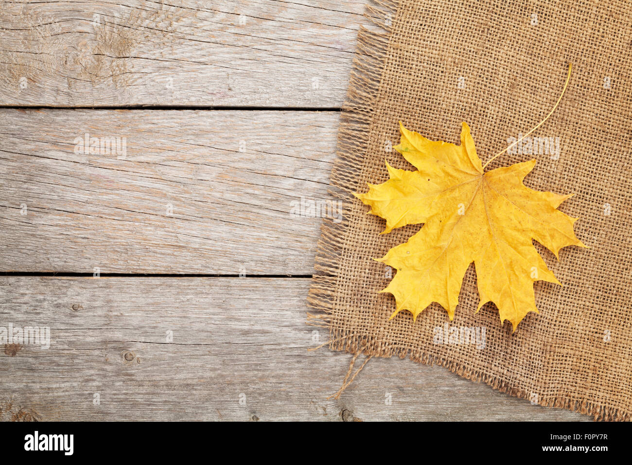 Autumn maple leaves over burlap texture background with copy space ...