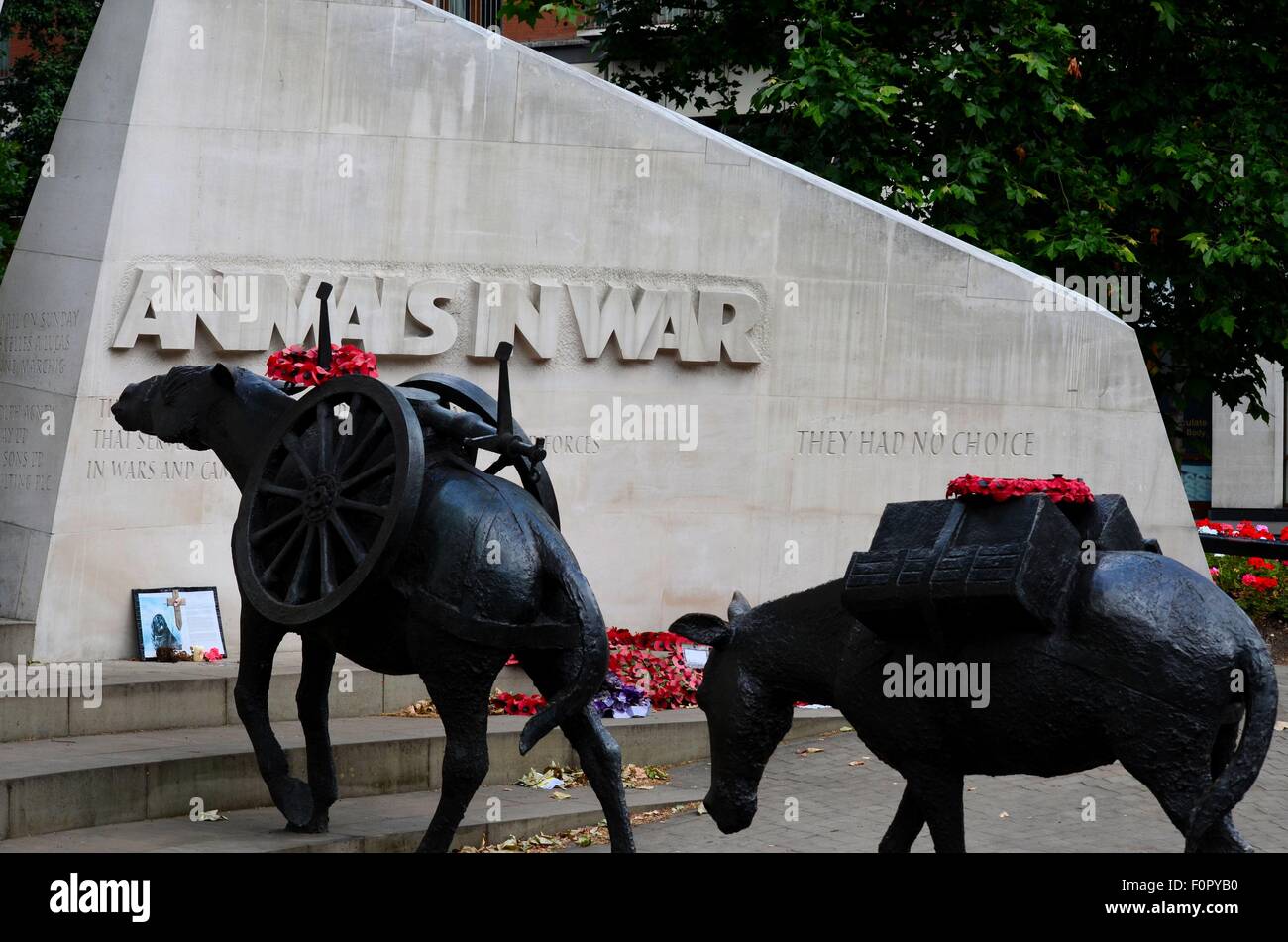 Public memorial honoring military animals in war London England Stock ...
