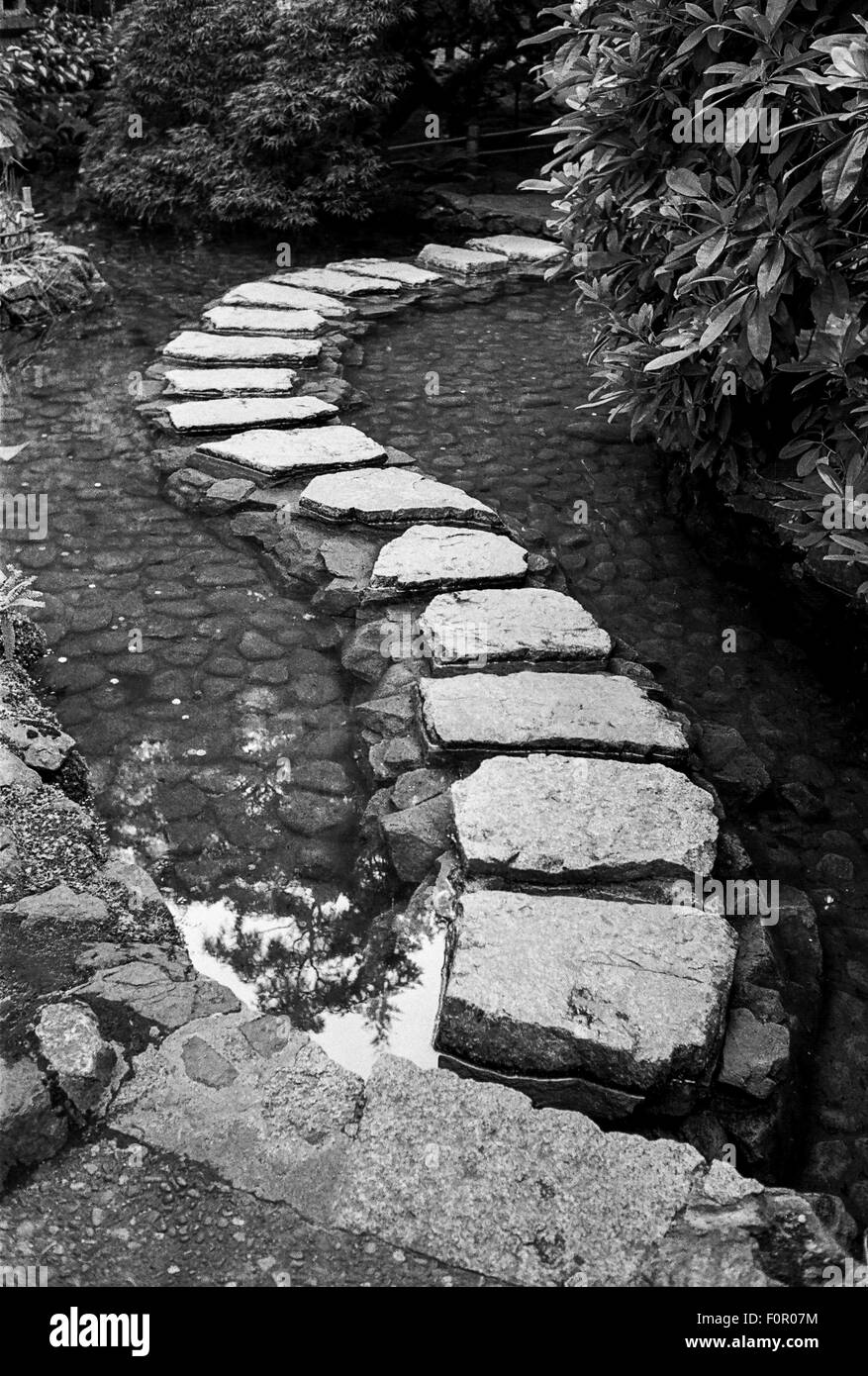 Stepping stones water Black and White Stock Photos & Images - Alamy