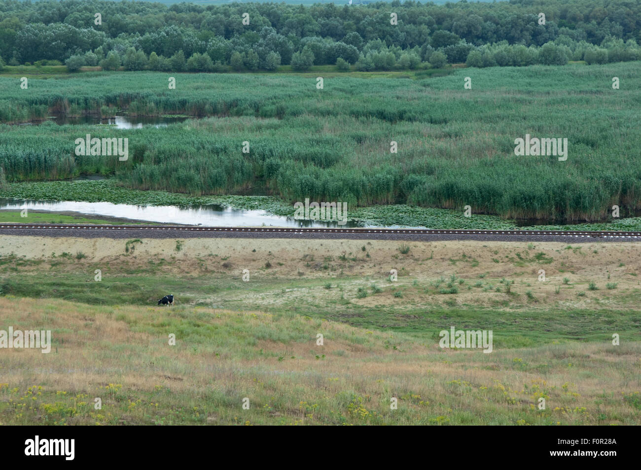 Railway line running through marsh area in the border of Moldova and ...