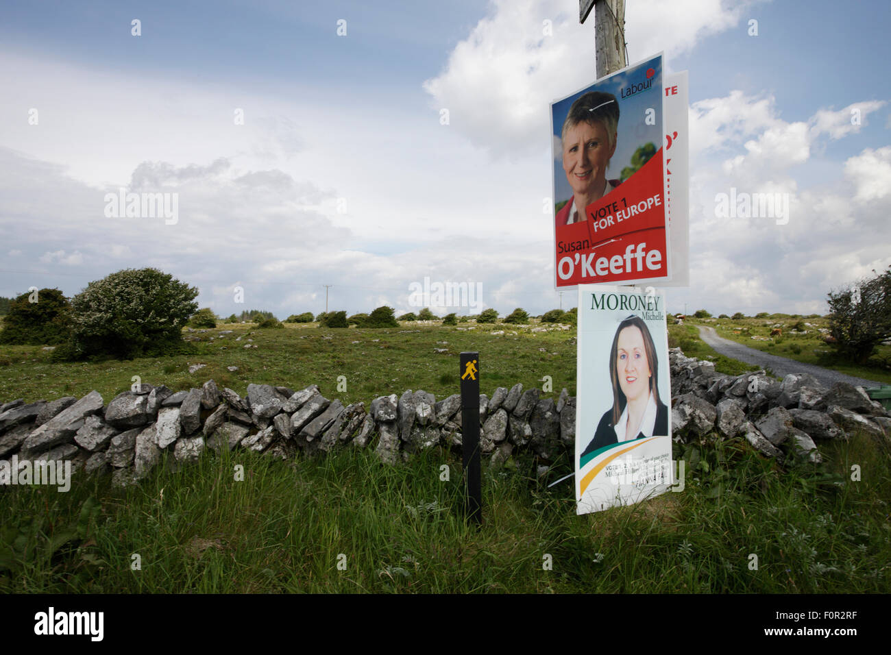 Election signs left up after the election, Burren region, County Clare ...
