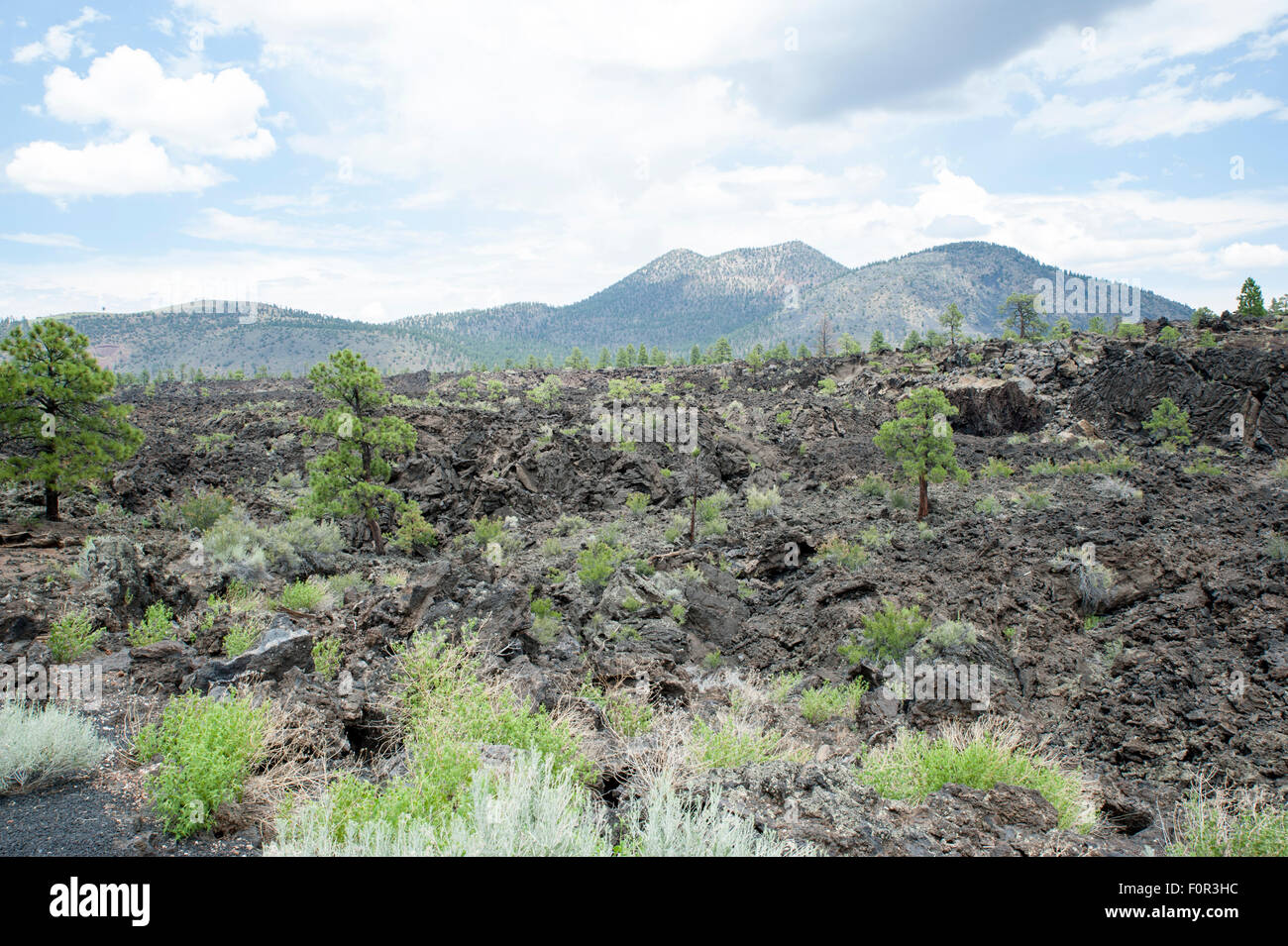Sunset Crater Volcano National Monument near Flagstaff, Arizona, USA ...