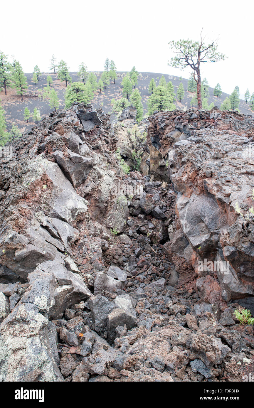 Sunset Crater Volcano National Monument near Flagstaff, Arizona, USA ...