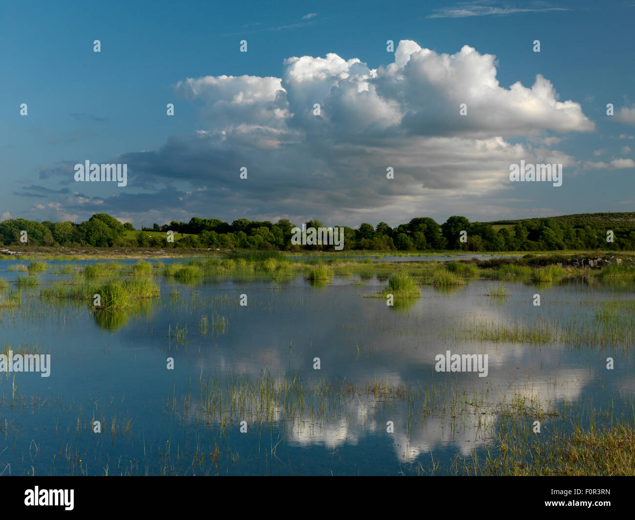 Turlough lake (temporary / seasonal ground water lake) Burren National ...