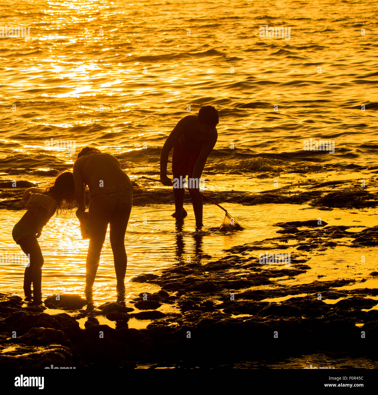 Playing In Rock Pool High Resolution Stock Photography and Images - Alamy