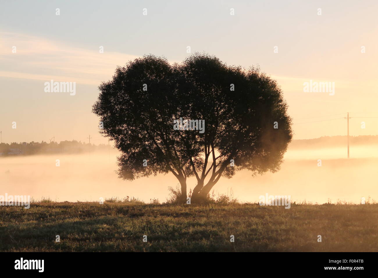 Mist frame hi-res stock photography and images - Alamy