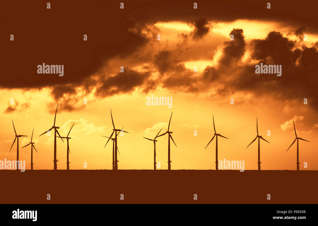 Teesside Offshore Wind Farm at sunrise. Redcar, north east England, UK ...