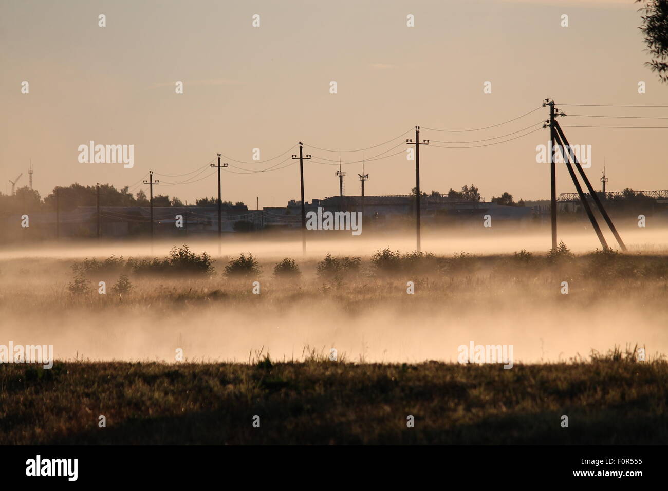 line of the electric poles covered white dense mist Stock Photo - Alamy