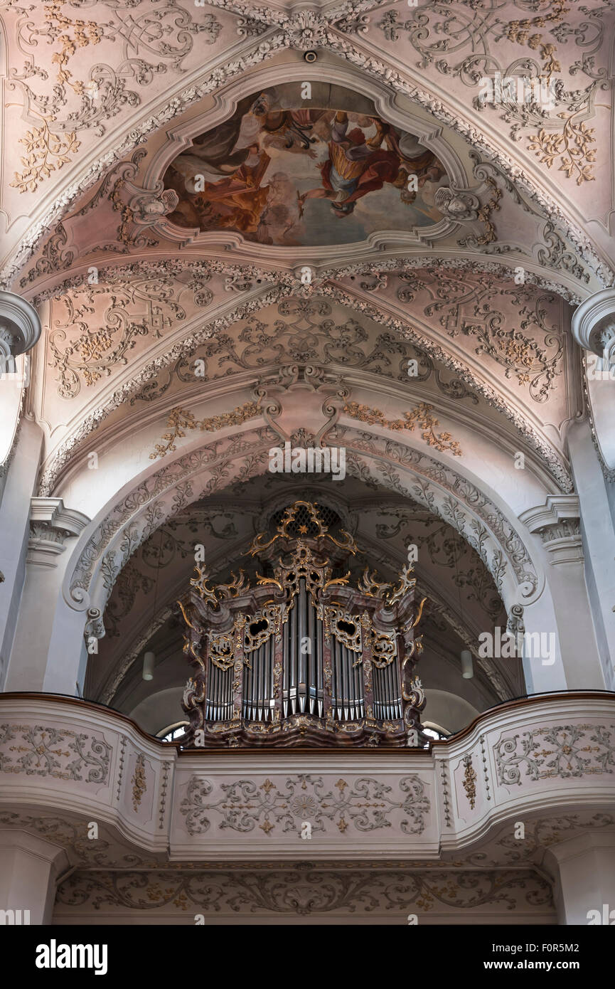 Loft with organ, St. George's Church, Amberg, Upper Palatinate, Bavaria ...