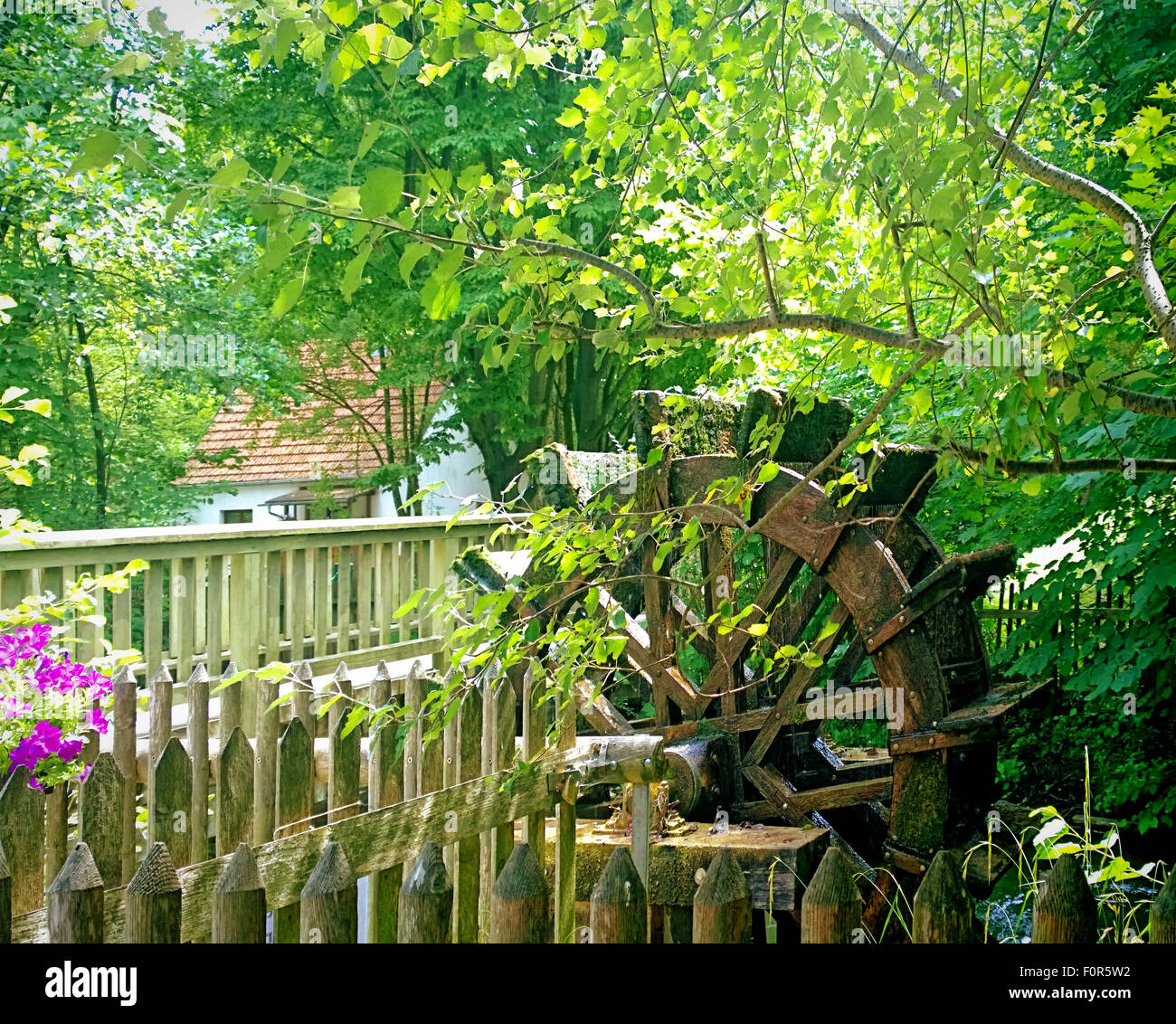 vintage water mill wheel running in river water near a wooden bridge in ...