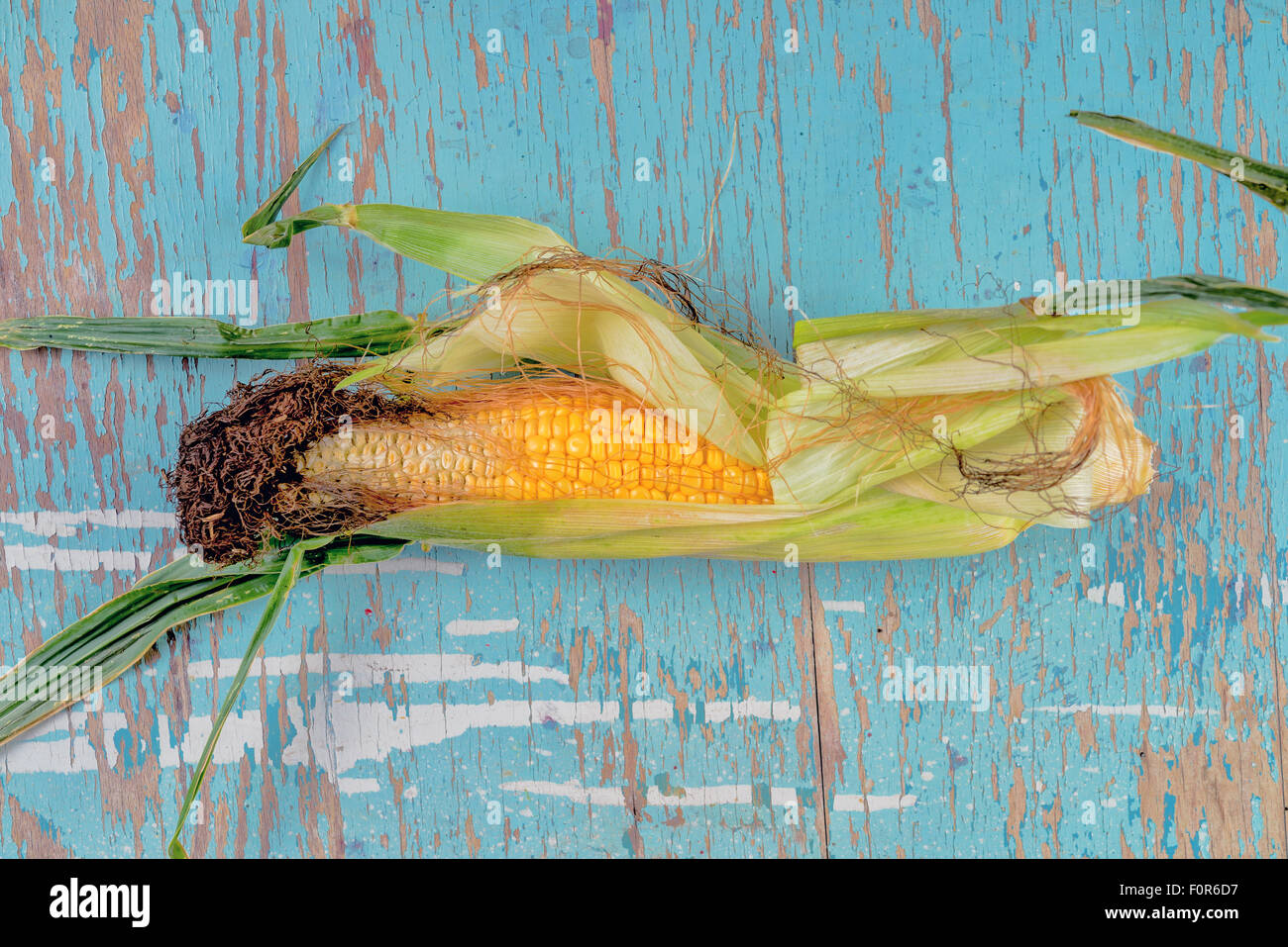 Bad rotten corn ear on rustic wooden table, undeveloped maize ear, top ...