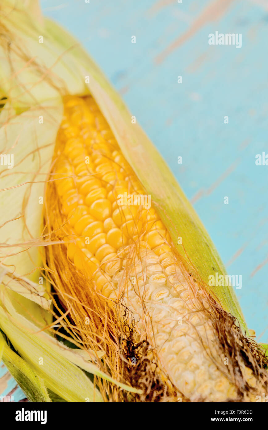 Rotten ear hi-res stock photography and images - Alamy