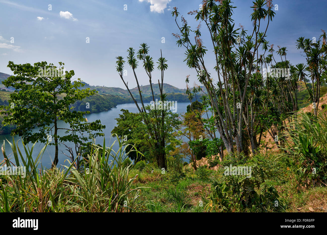 Lake Nkuruba, Bunyaruguru Crater Lakes region, Uganda, Africa Stock ...