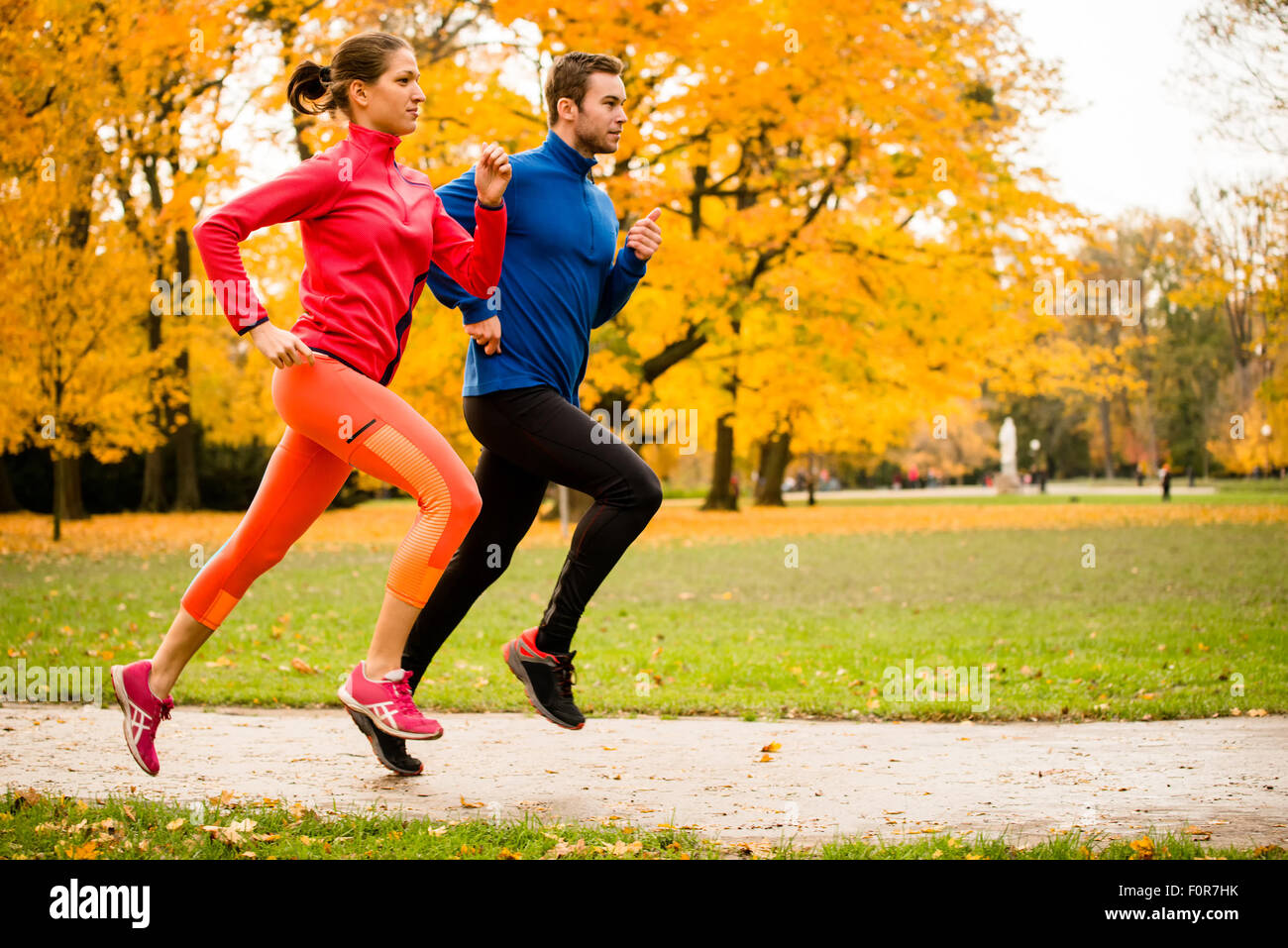 Running together - friends jogging together in park, rear view Stock ...