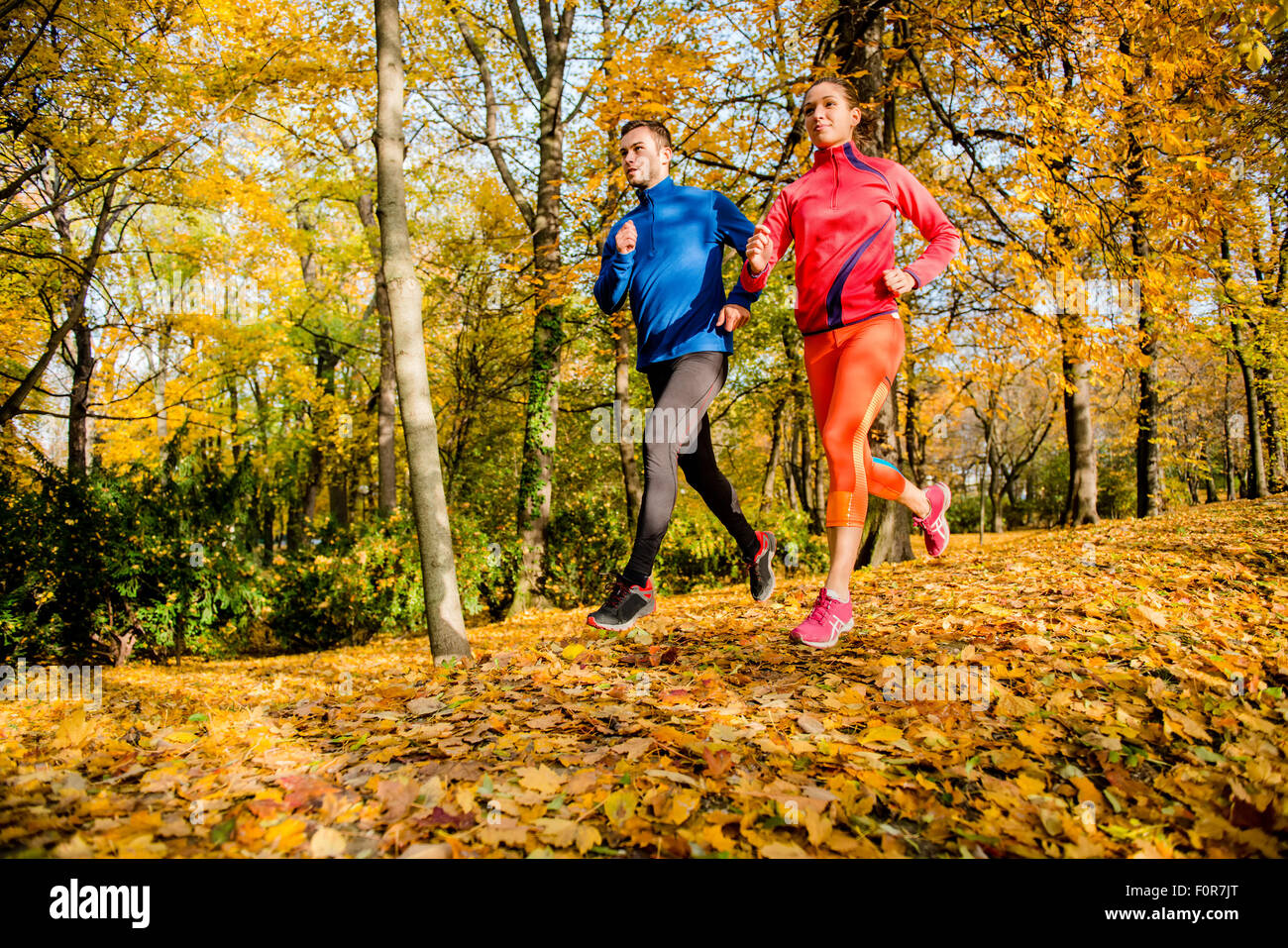 Running fallen leaves hi-res stock photography and images - Alamy