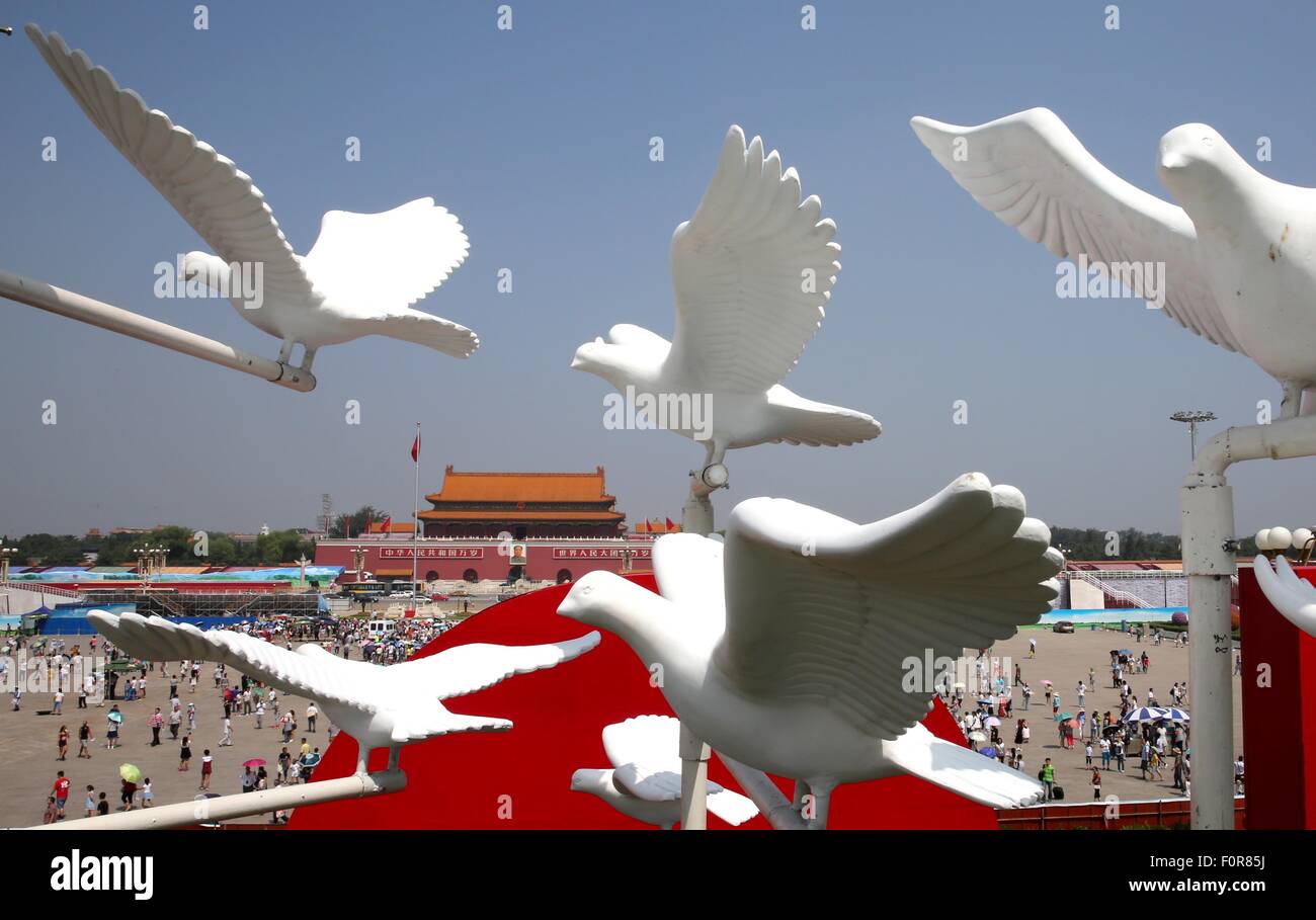 Dove gang hi-res stock photography and images - Alamy