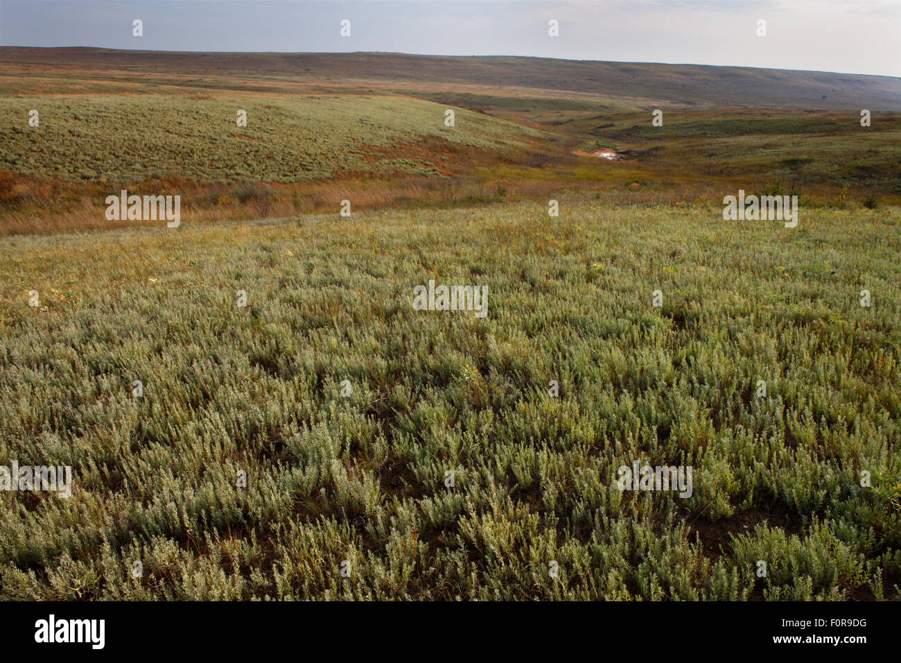 Crimea landscape steppe hi-res stock photography and images - Alamy