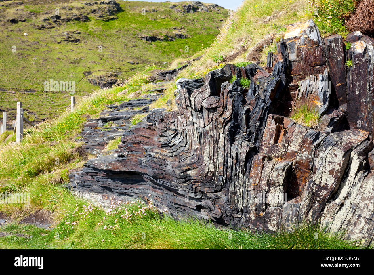 An outcrop of folded shale strata at the entrance to Boscastle harbour ...