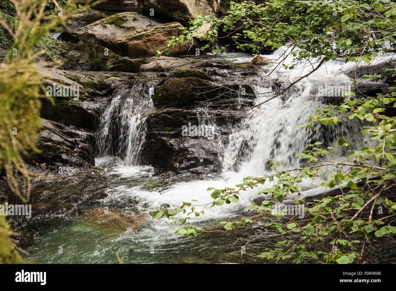 The force of the water in the nature Stock Photo - Alamy