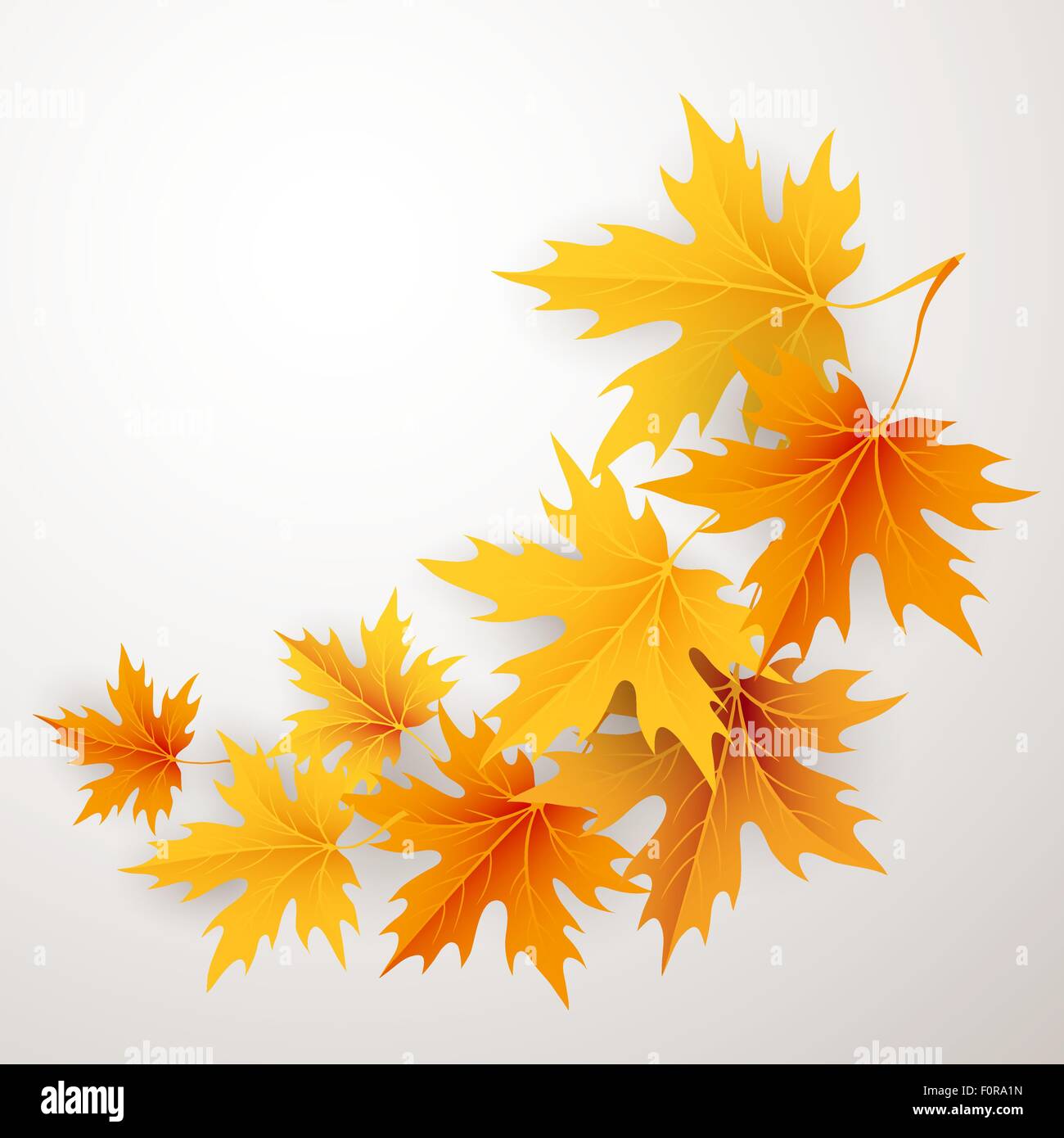 Autumn maples falling leaves background Stock Vector Image & Art - Alamy