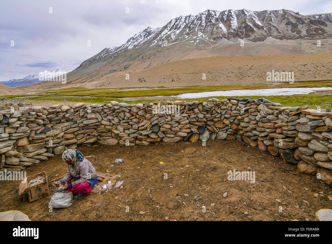 India Jammu Kashmir Ladakh A woman clearing pashmina wool Stock Photo ...