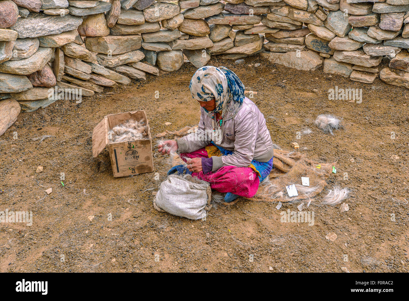 India Jammu Kashmir Ladakh A woman clearing pashmina wool Stock Photo ...