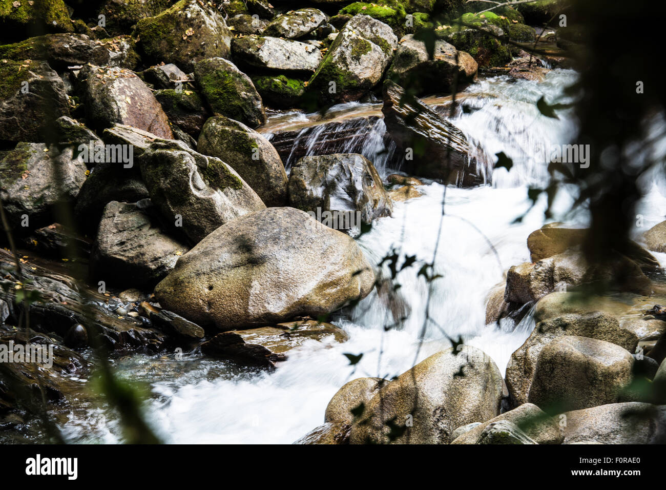 The force of the water in the nature Stock Photo - Alamy