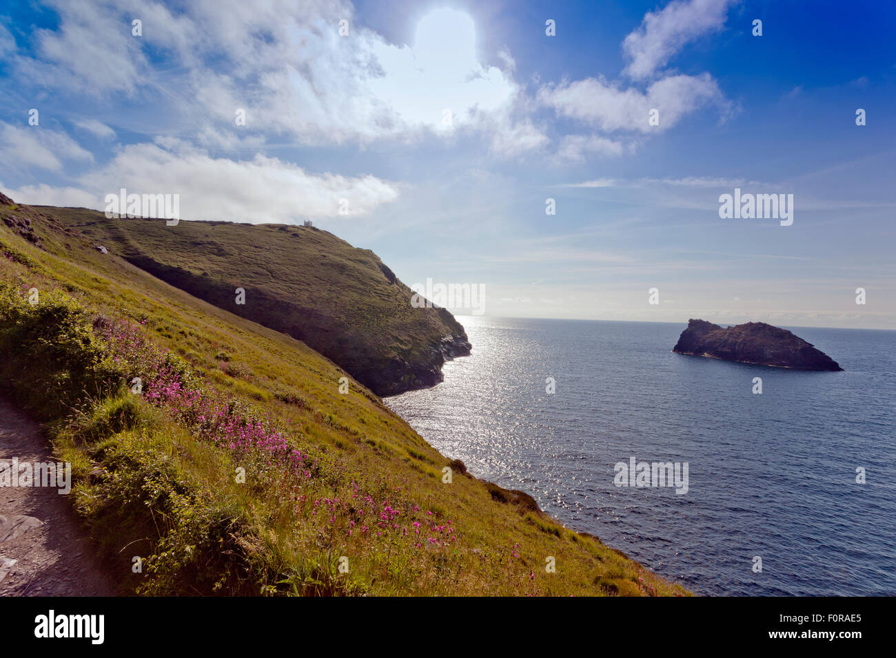 Meachard Island and the SW Coast Path at the entrance to Boscastle ...