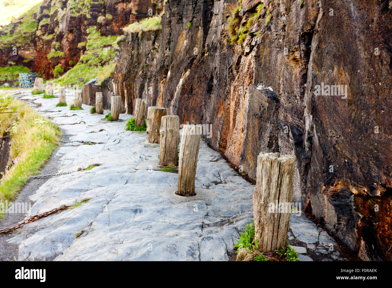 Old wooden mooring posts in Boscastle harbour, north Cornwall, England ...