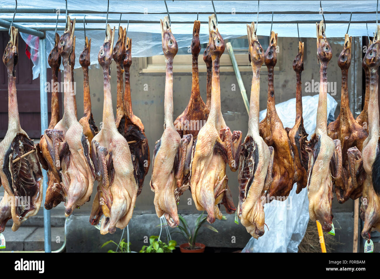 Dead geese hi-res stock photography and images - Alamy