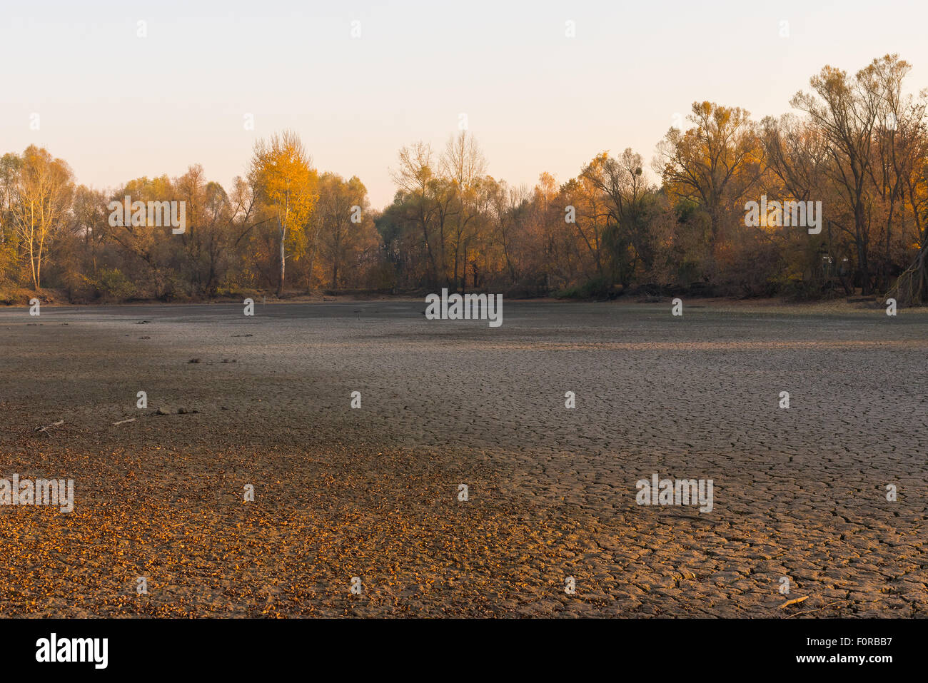 Dried up pond hi-res stock photography and images - Alamy