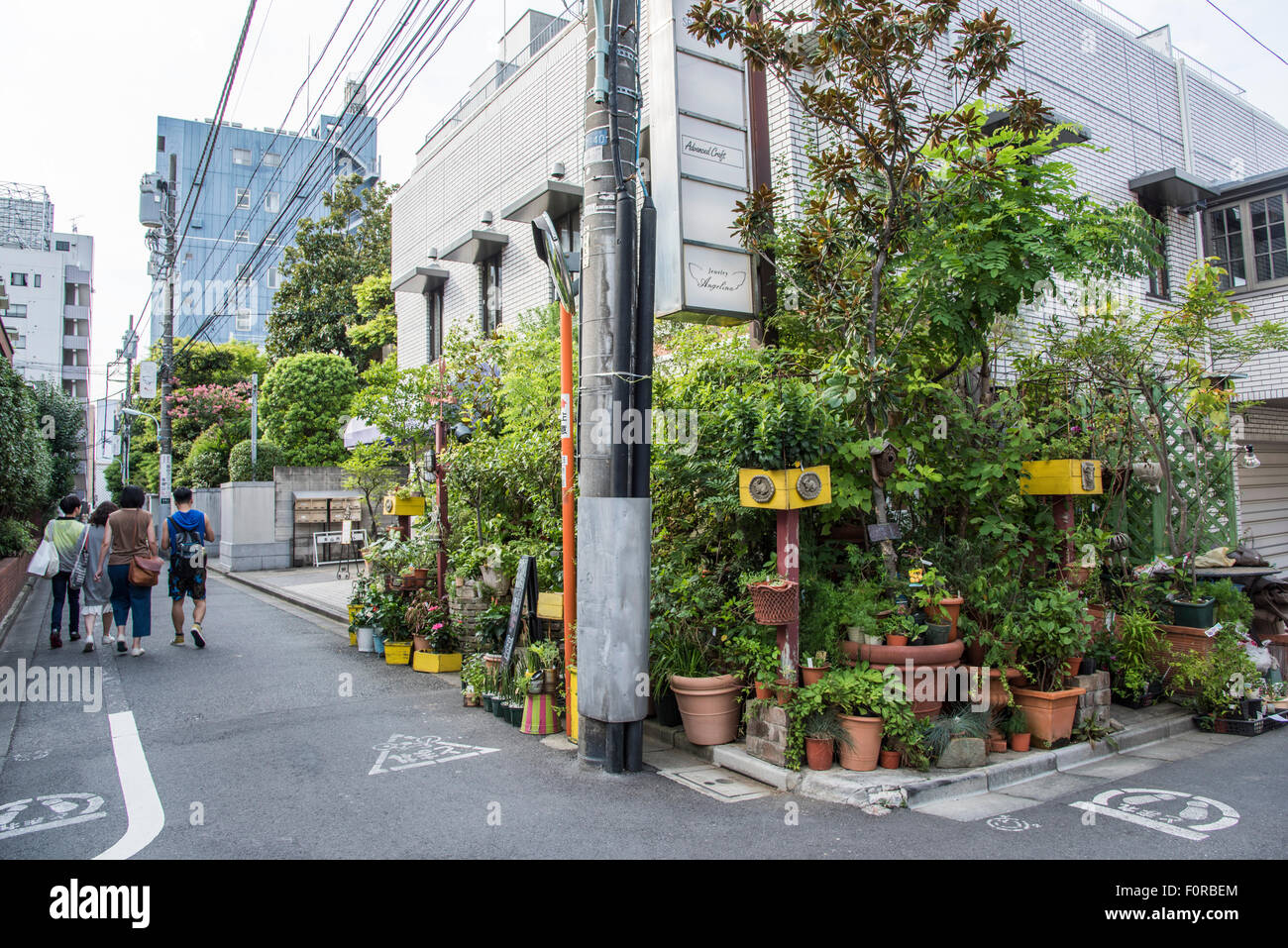 Street scene of Aoyama,Minato-Ku,Tokyo,Japan Stock Photo - Alamy