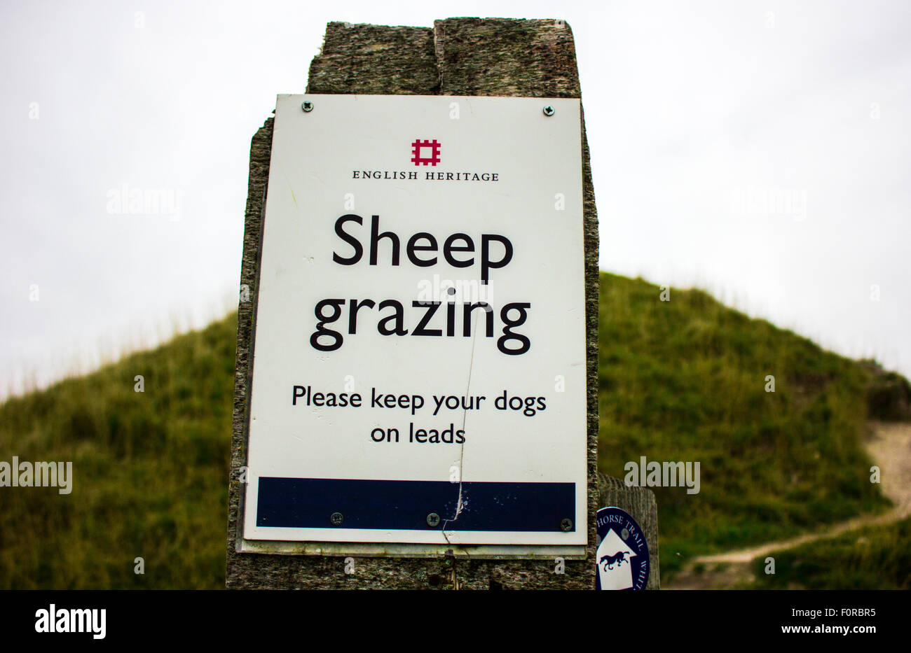 Sheep grazing sign advising dog owners to keep their dogs on leads in ...