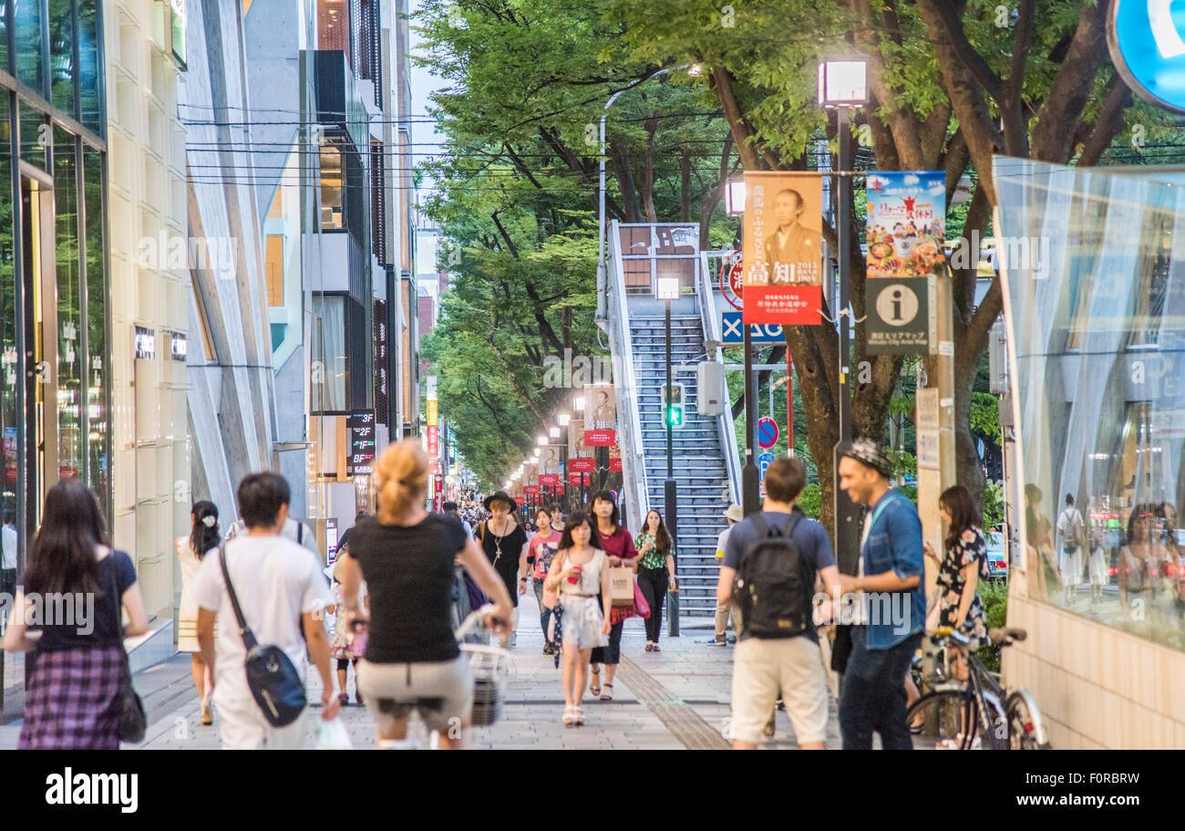 General view of Omotesando,Tokyo,Japan Stock Photo - Alamy
