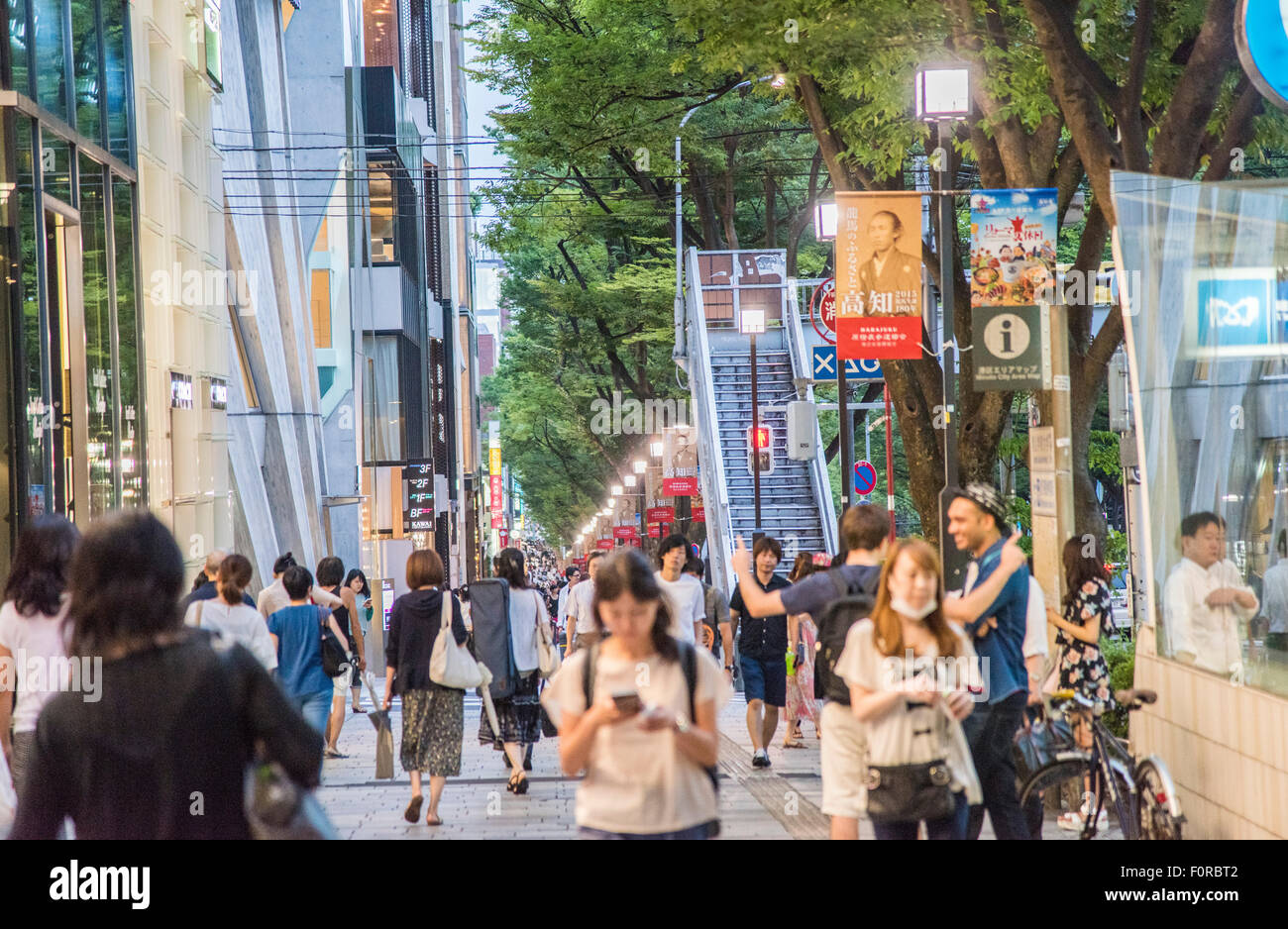 General view of Omotesando,Tokyo,Japan Stock Photo - Alamy