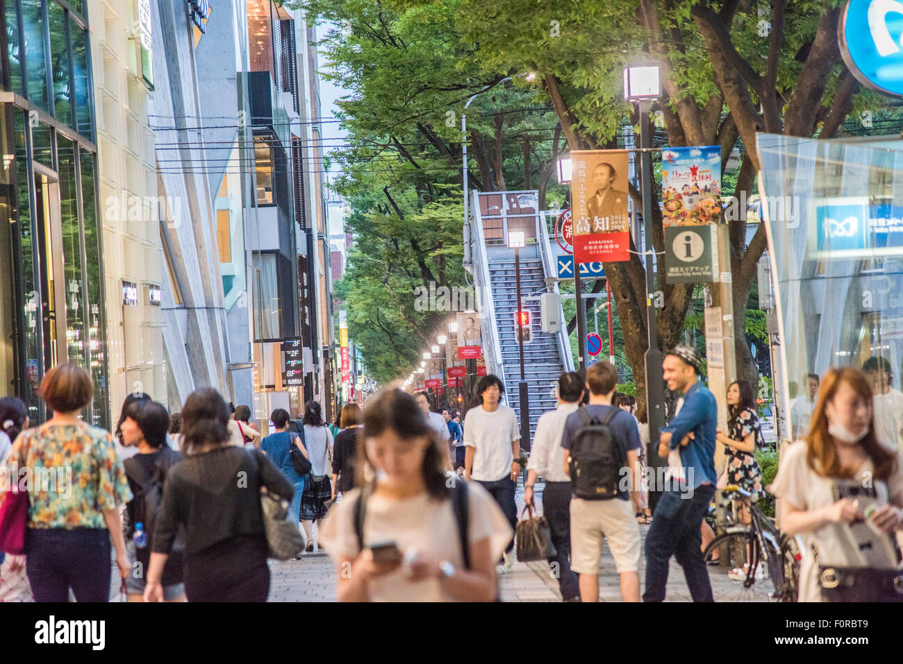 General view of Omotesando,Tokyo,Japan Stock Photo - Alamy