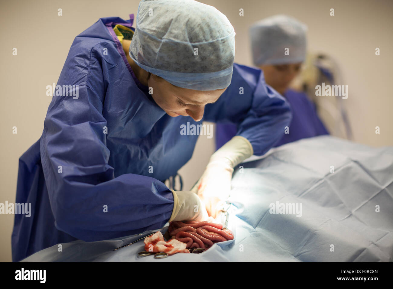 Surgery Operation High Resolution Stock Photography and Images - Alamy