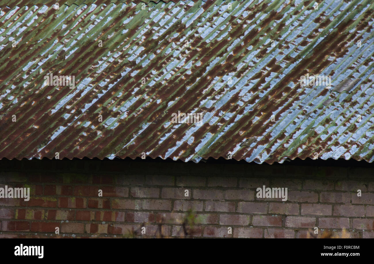 Rusting old corrugated iron or tin roof on an abandoned building Stock ...
