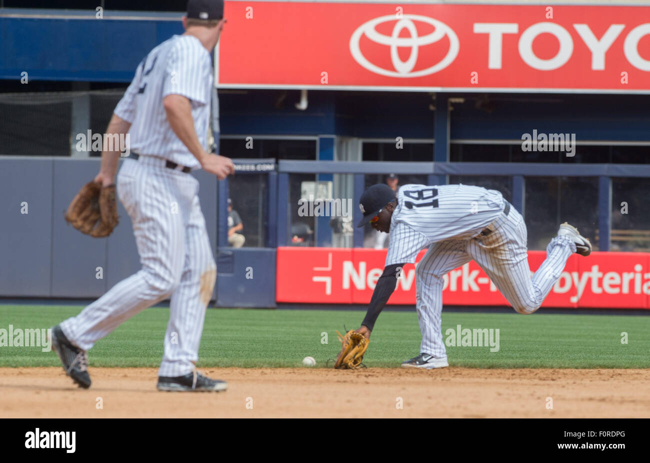 Yankees shortstop minnesota hi-res stock photography and images - Alamy