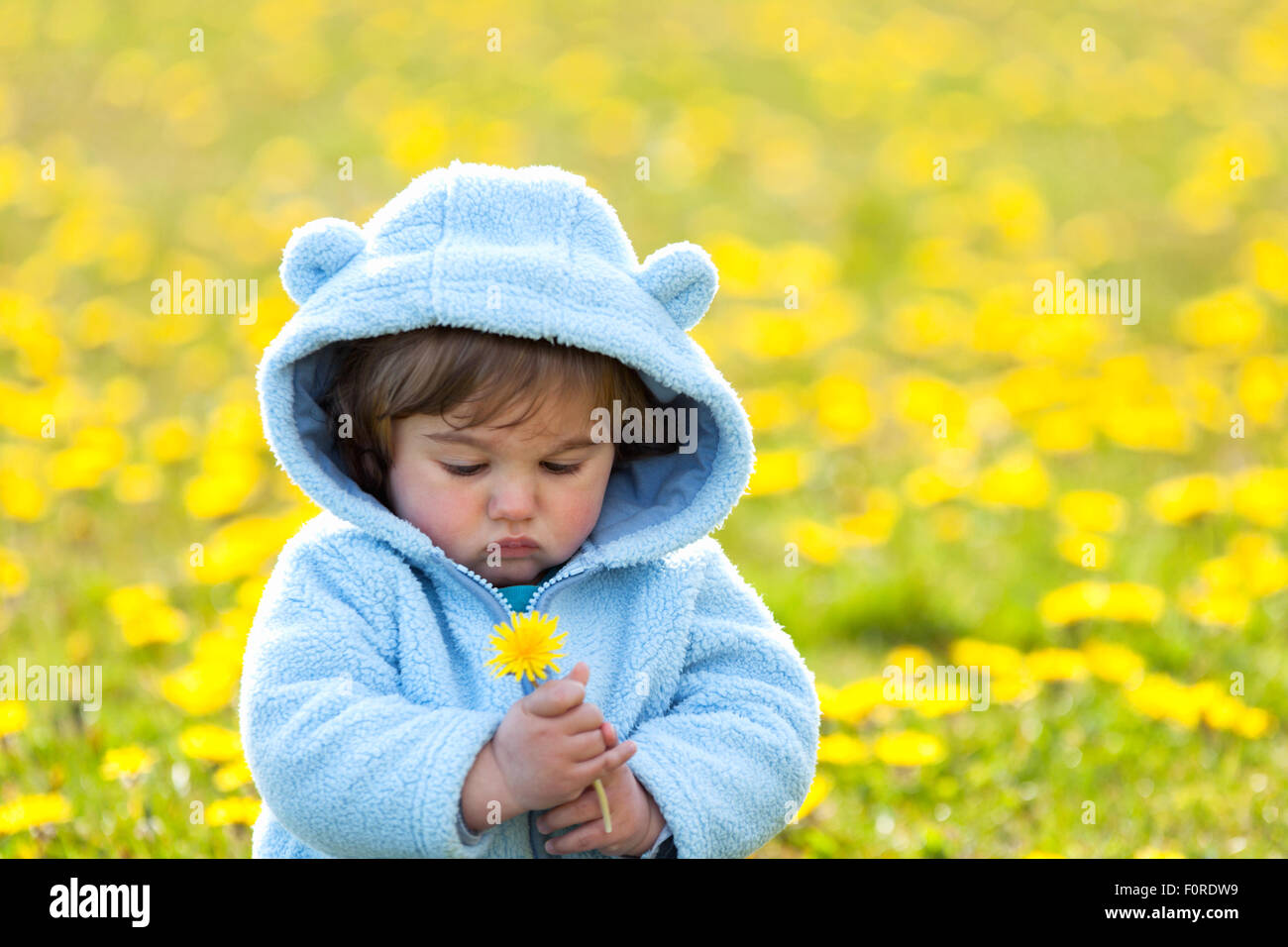 Portrait of cute boy in spring flowers field Stock Photo - Alamy