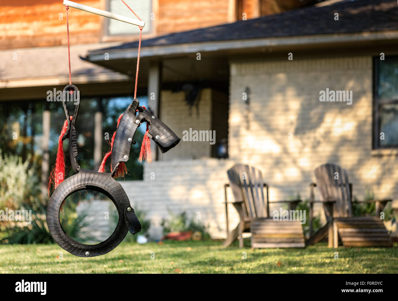Horse Tire Swing Template